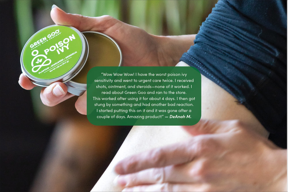 Plants With Purpose | Green Goo by Sierra Sage Herbs